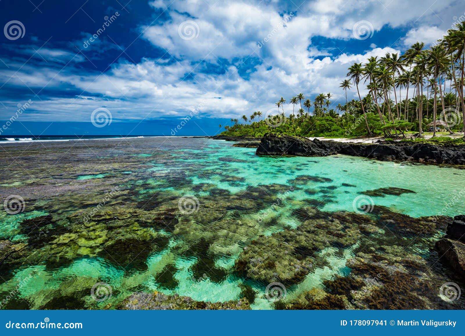 Vibrant Tropical Beach with Palm Trees, Upolu, Samoa Stock Image ...