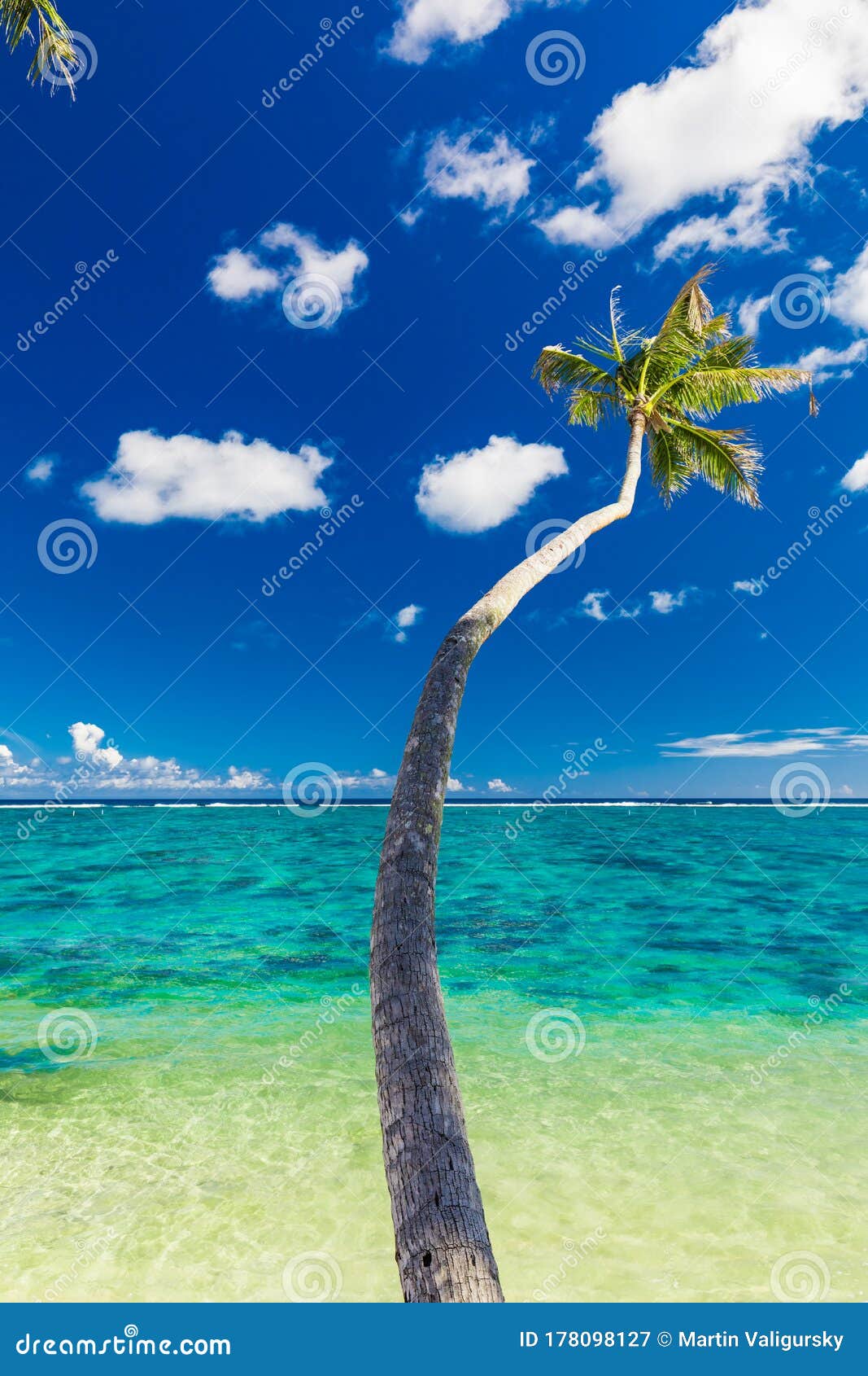 Vibrant Tropical Beach with Palm Trees, Upolu, Samoa Stock Image ...
