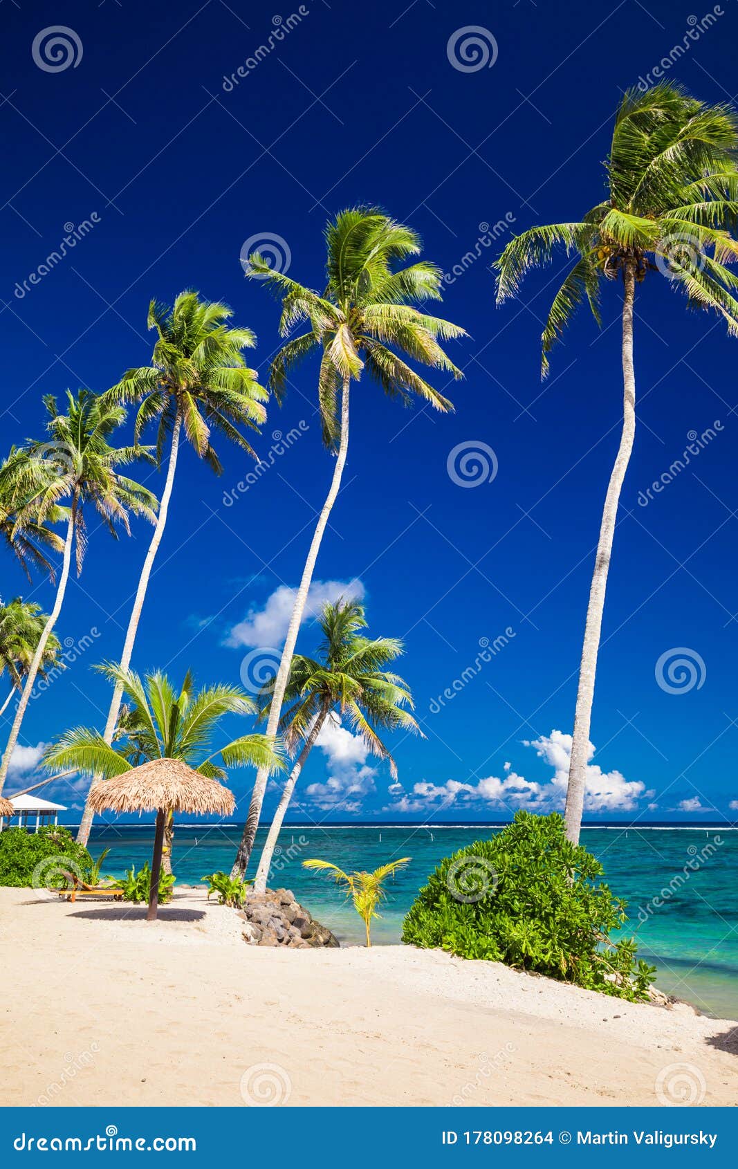 Vibrant Tropical Beach with Palm Trees, Upolu, Samoa Stock Photo ...