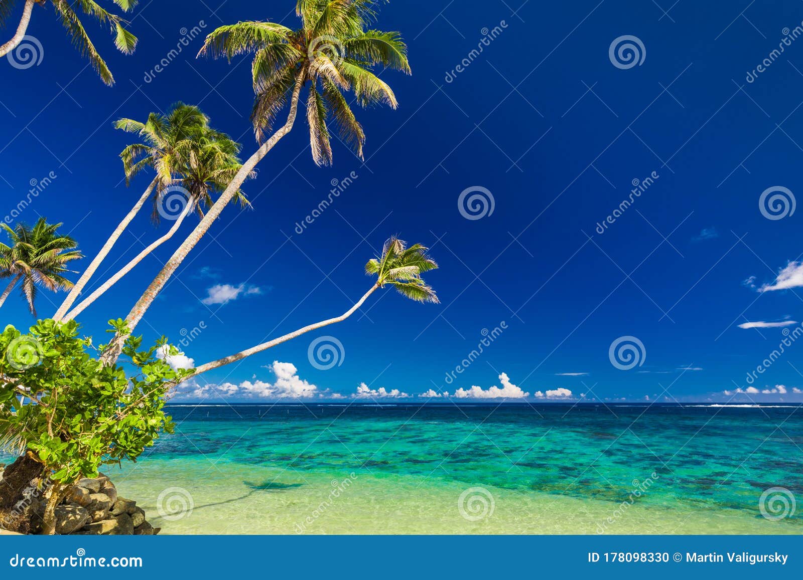 Vibrant Tropical Beach with Palm Trees, Upolu, Samoa Stock Photo ...