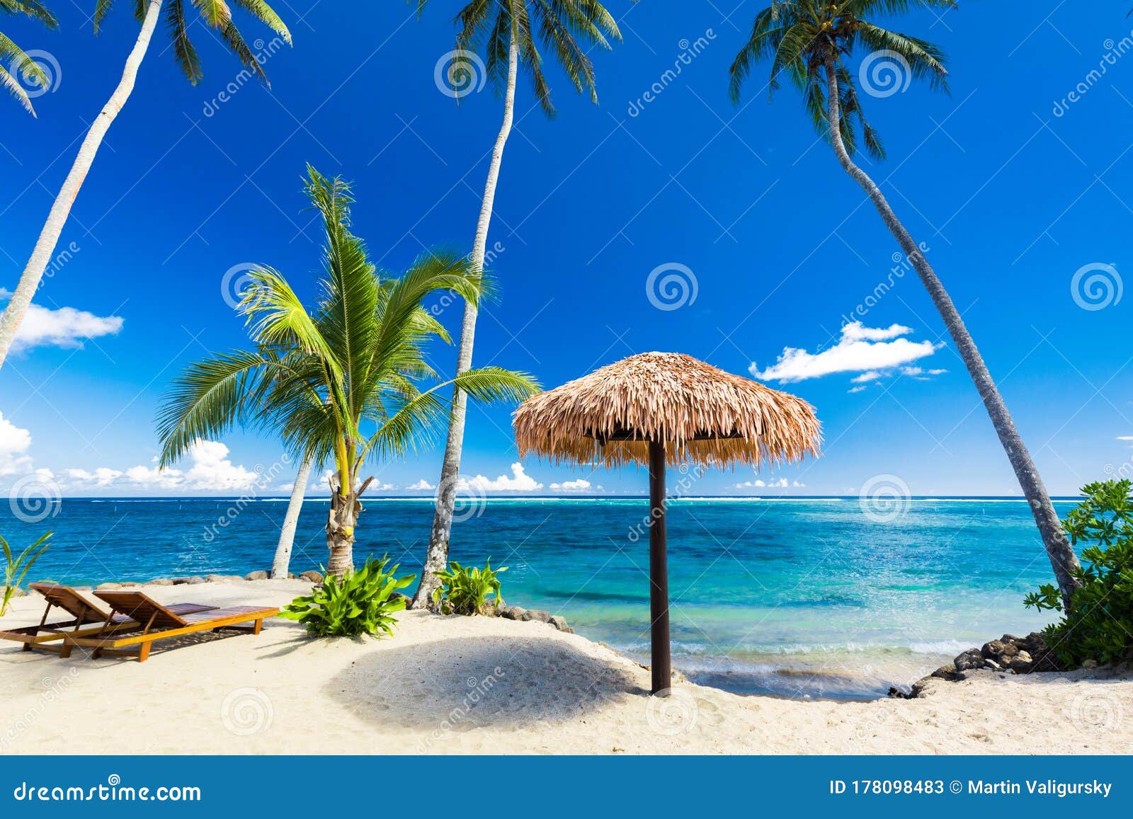 Vibrant Tropical Beach with Palm Trees, Upolu, Samoa Stock Image ...