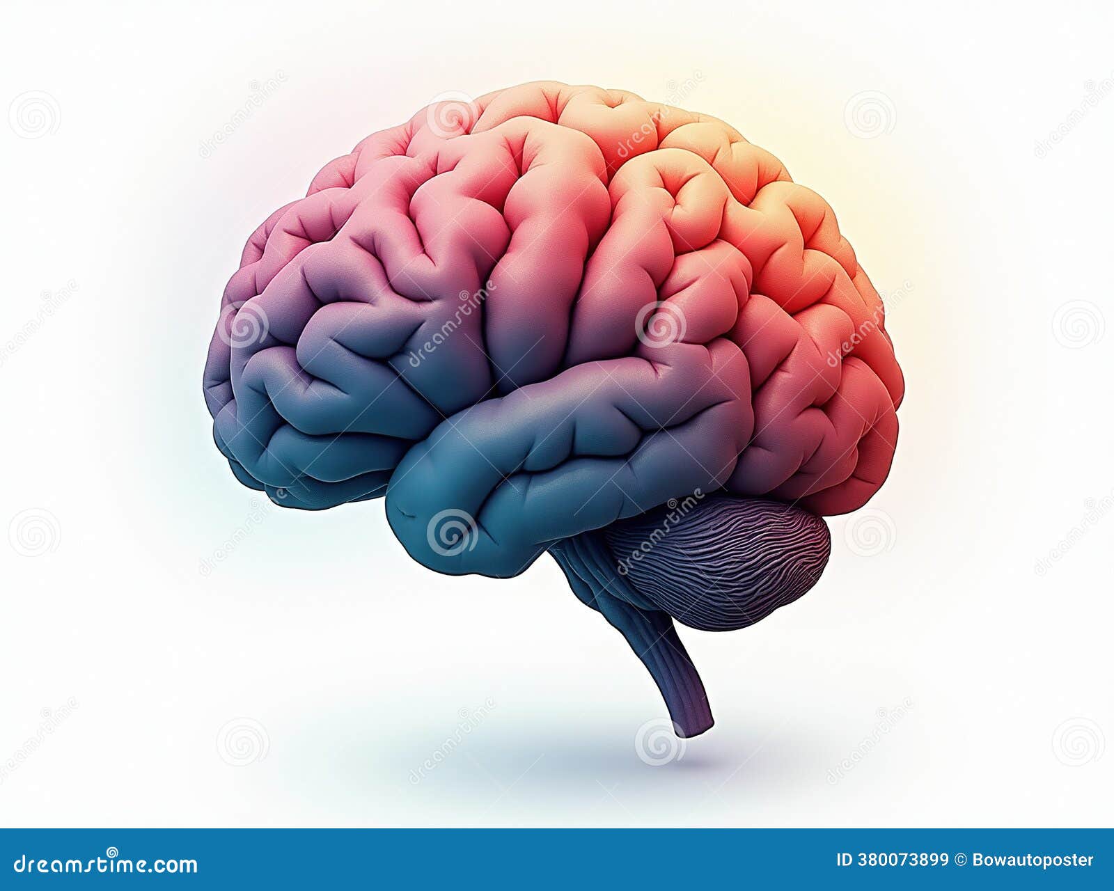 Behaviorism Learning Theory Educational Psychology Vector Infographic ...