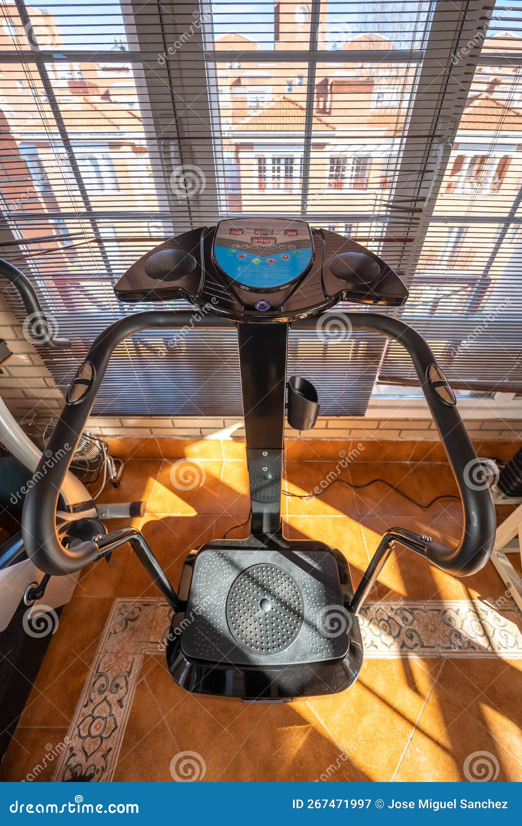 Vibrating Gymnastics Machine To Exercise Muscles and Keep Fit at Home ...