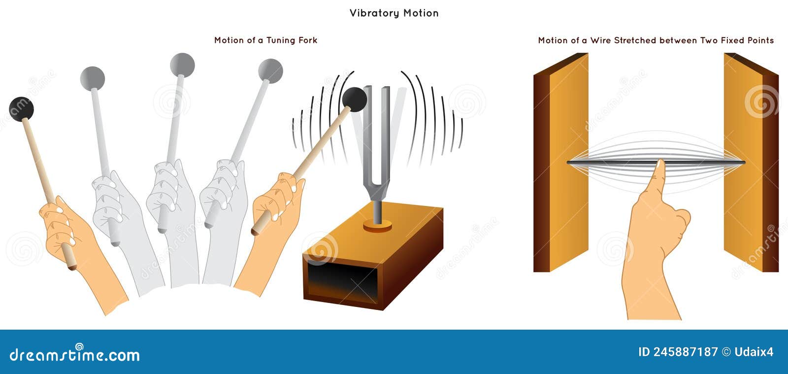 Vibratory Motion Infographic Diagram With Example Cartoon Vector ...