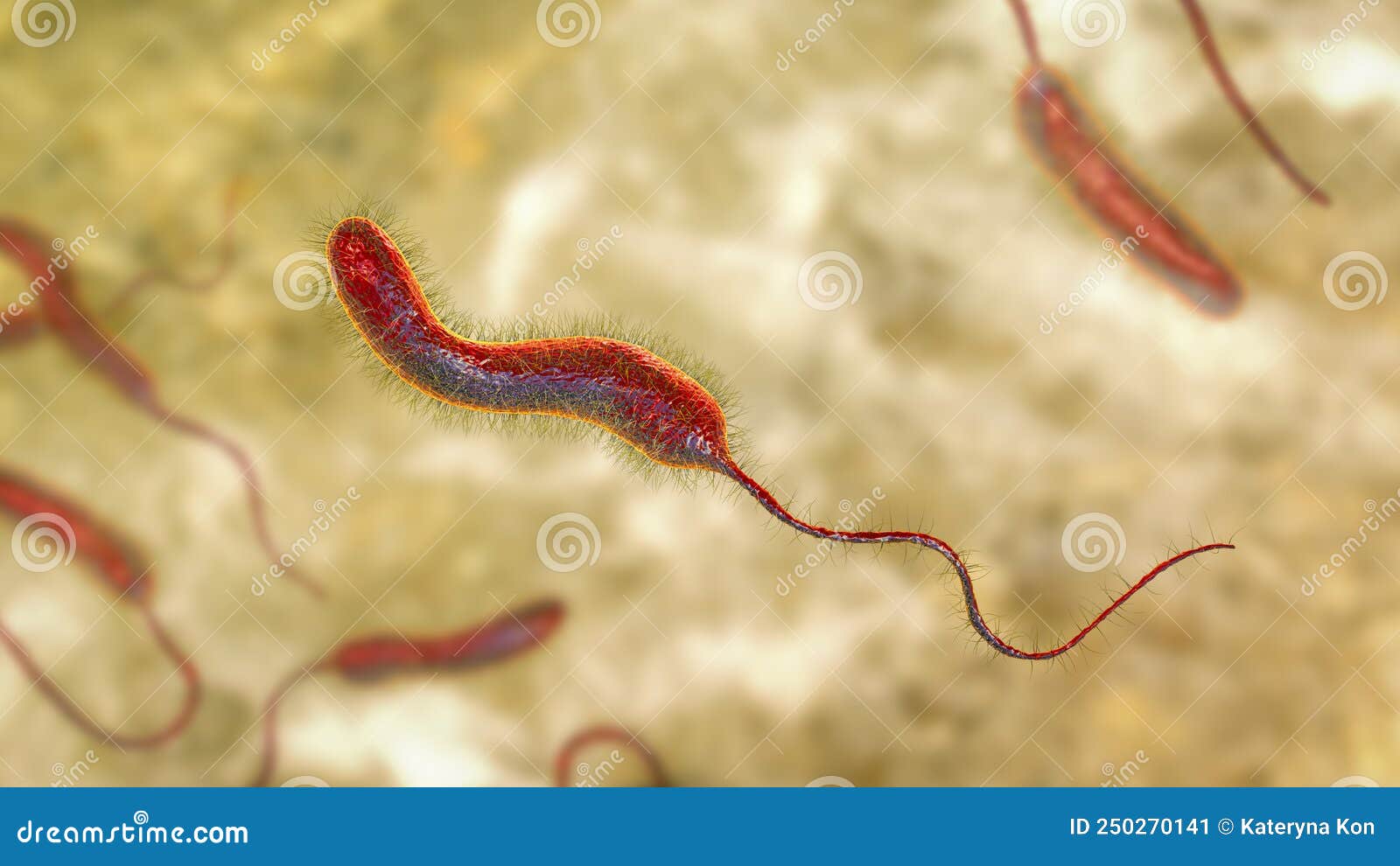 Vibrio Cholerae Bacteria, 3D Illustration Stock Illustration ...