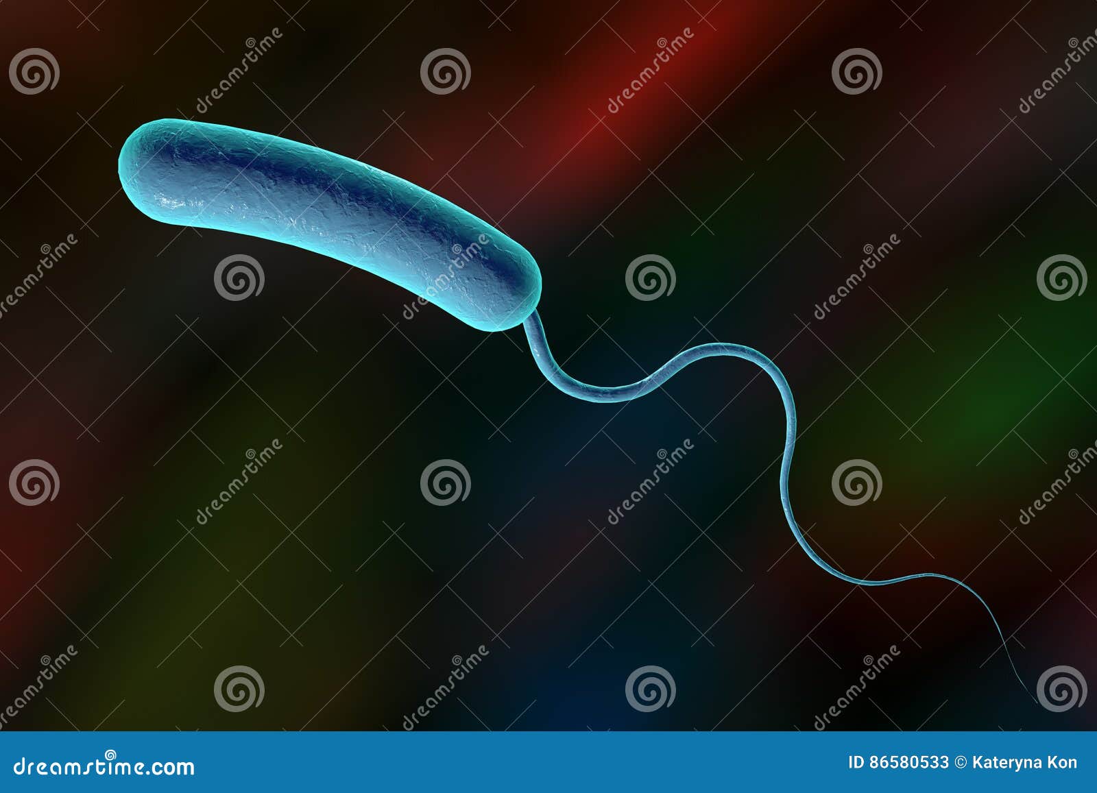 Vibrio cholerae bacterium stock illustration. Illustration of bacillus ...