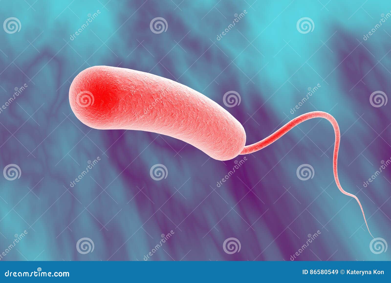 Vibrio Cholerae Bacteria Stock Illustration | CartoonDealer.com #126327238