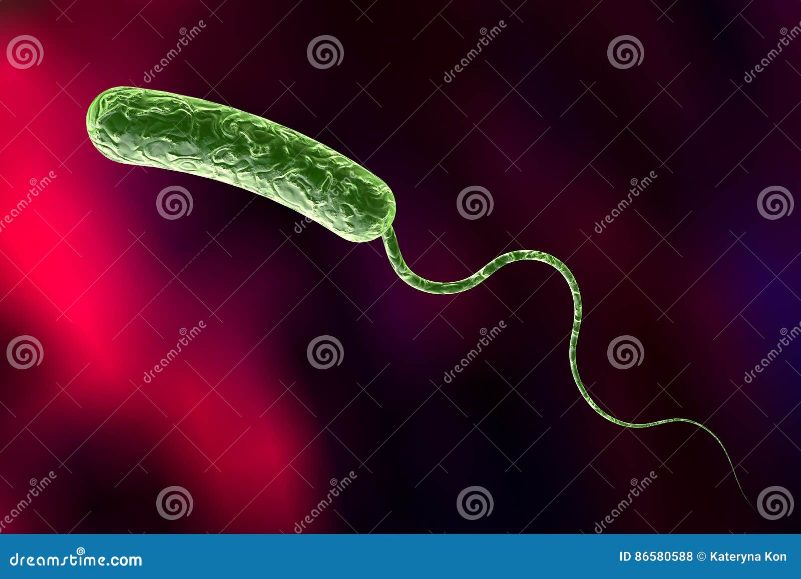 Vibrio cholerae bacterium stock illustration. Illustration of ...