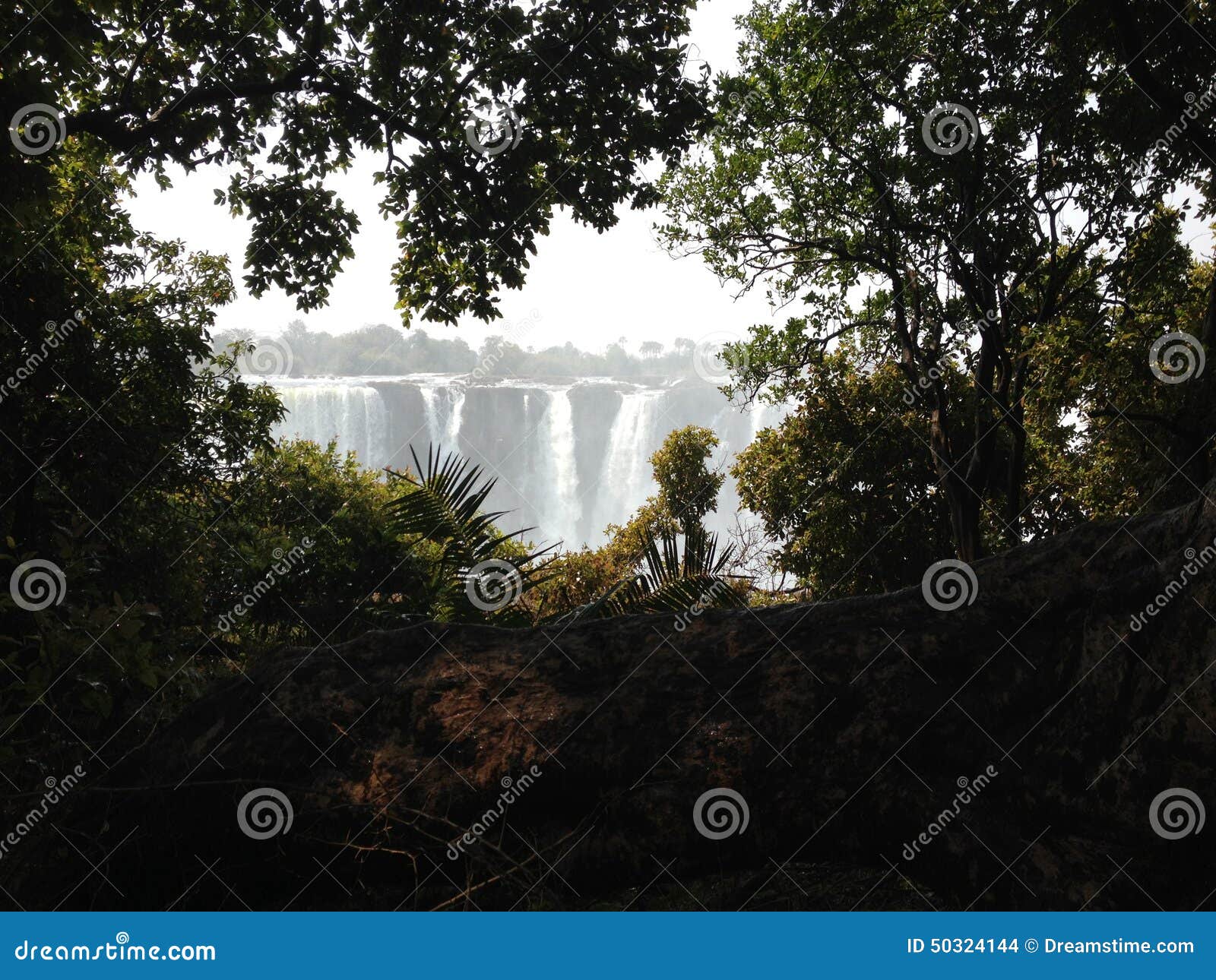 Victoria Falls Seen through La Selva Tropical Foto de archivo - Imagen ...