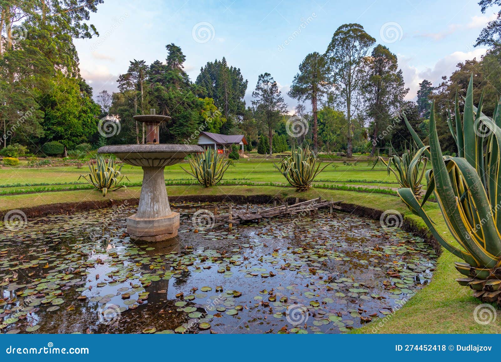 Victoria Park at Nuwara Eliya, Sri Lanka Stock Photo - Image of ... Victoria Park at Nuwara Eliya, Sri Lanka Stock Photo - Image of ...