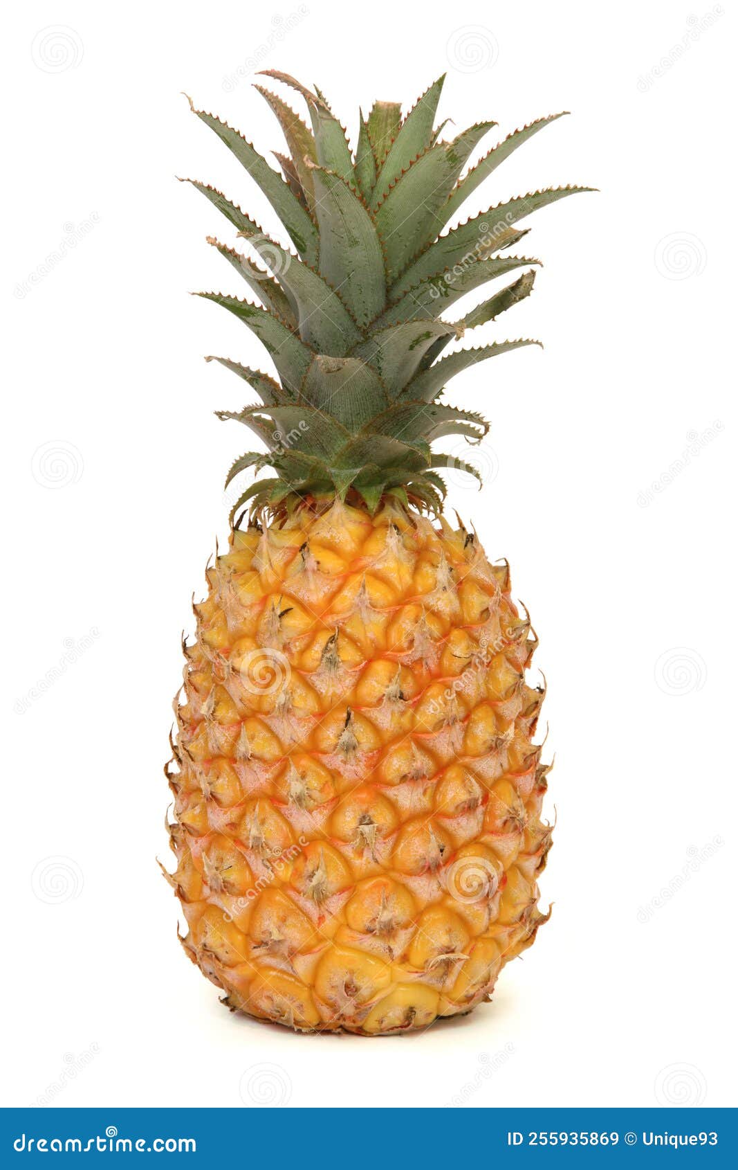 Victoria pineapple imagen de archivo. Imagen de jugoso - 255935869