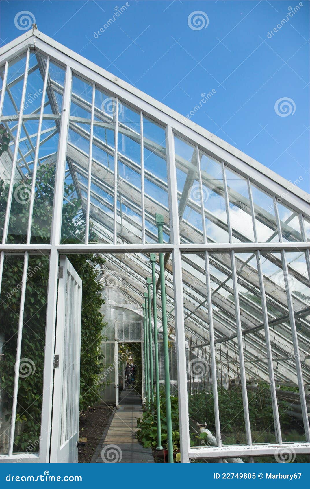 Victorian Glass House stock image. Image of growth, summer - 22749805