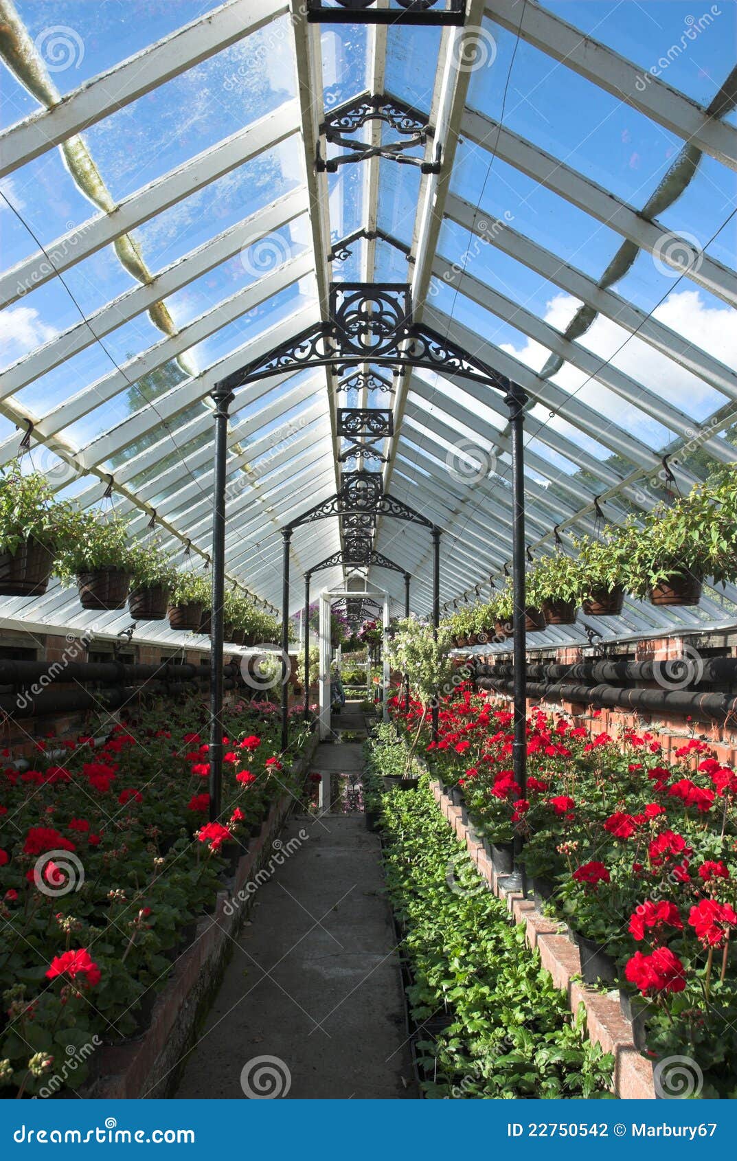 Victorian Glass House stock photo. Image of hothouse - 22750542