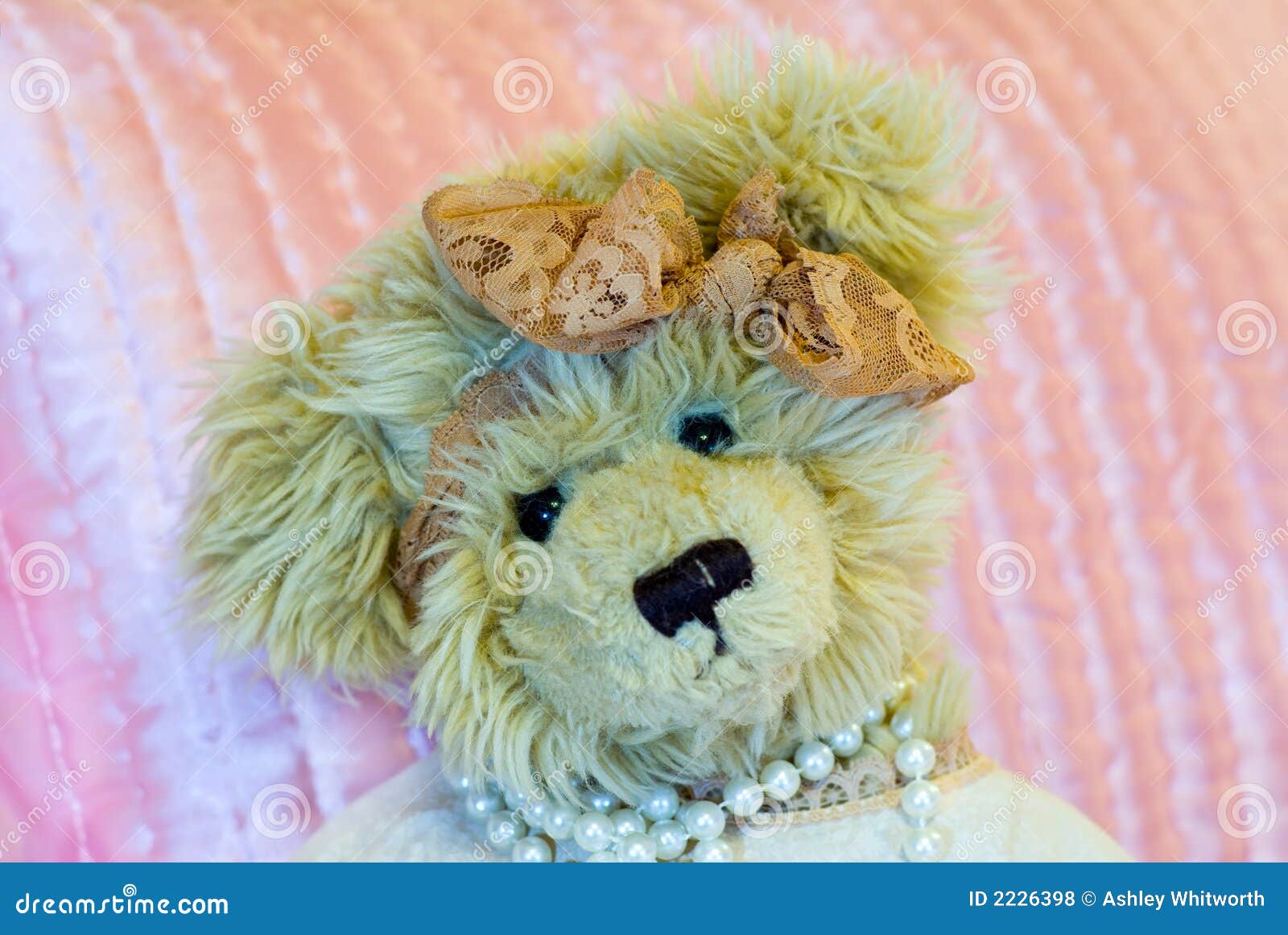Victorian Teddy Bear stock photo. Image of girl, history - 2226398