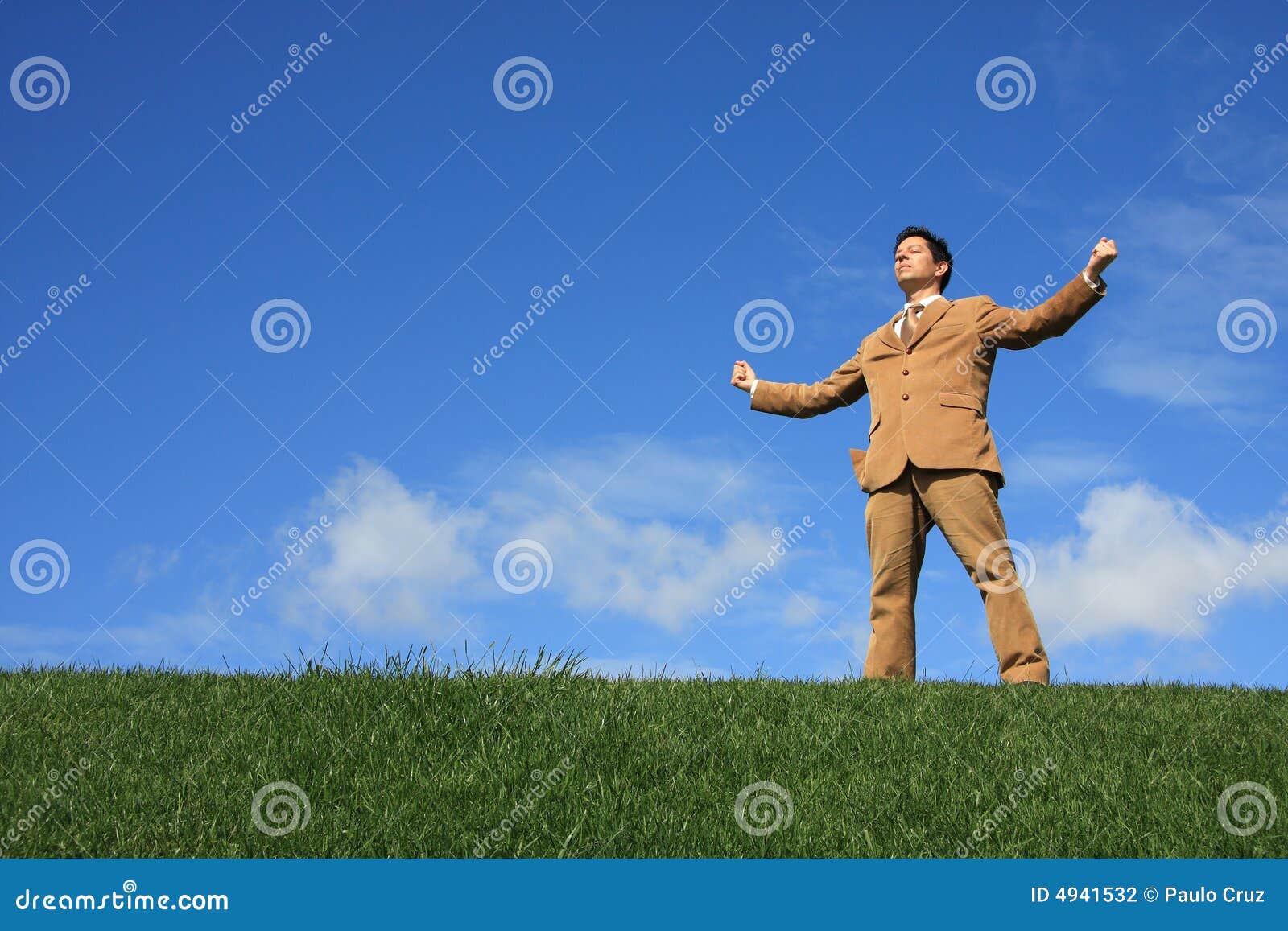 Victory stock photo. Image of environment, grass, celebration - 4941532