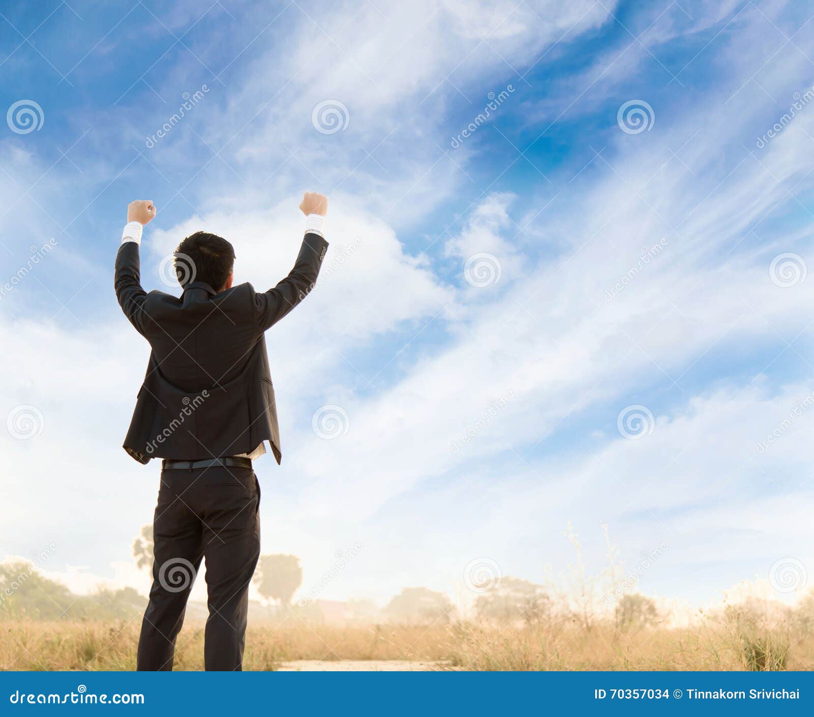 Victory Business Man on the Field Stock Photo - Image of fight, manager ...