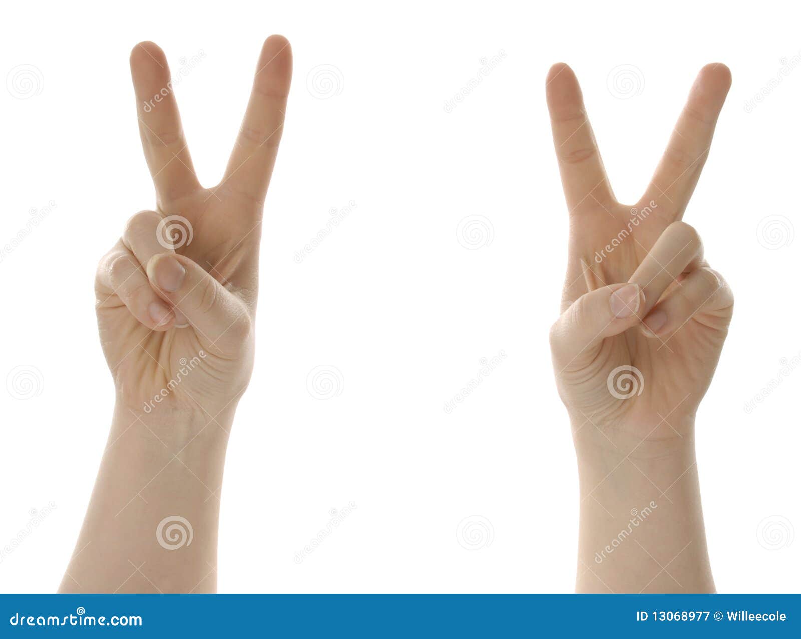 Peace Hand Real