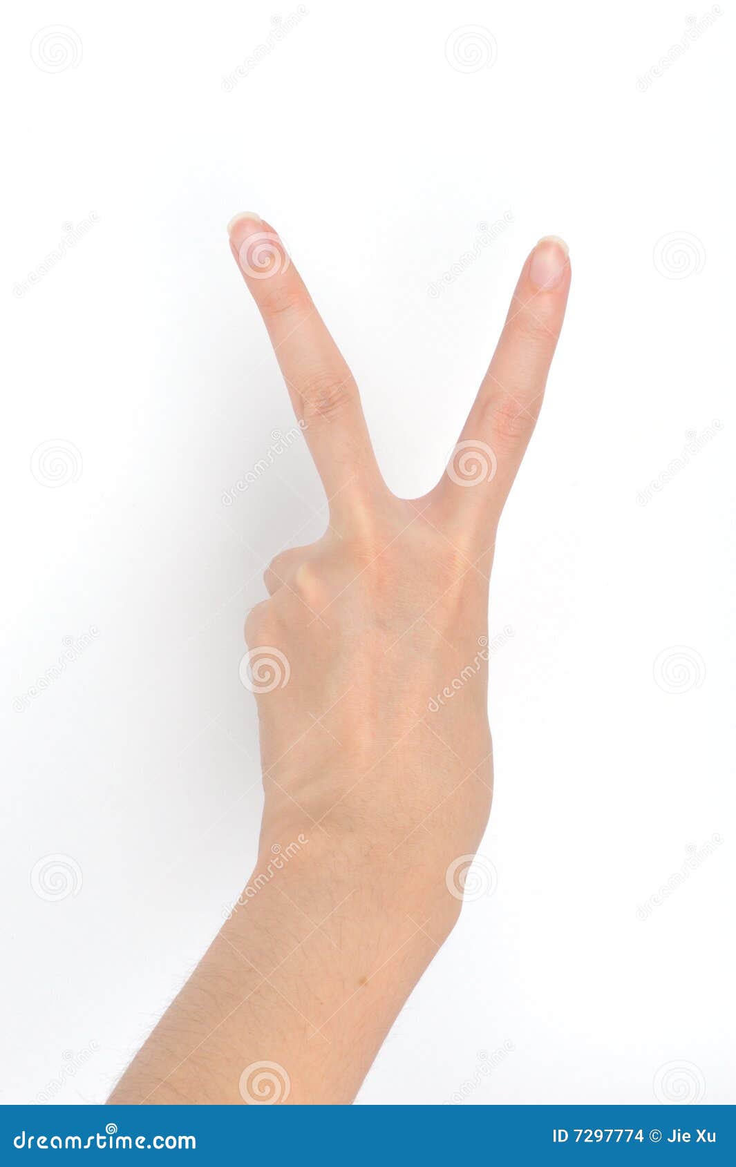 Victory, Yeah stock photo. Image of show, good, signal - 7297774