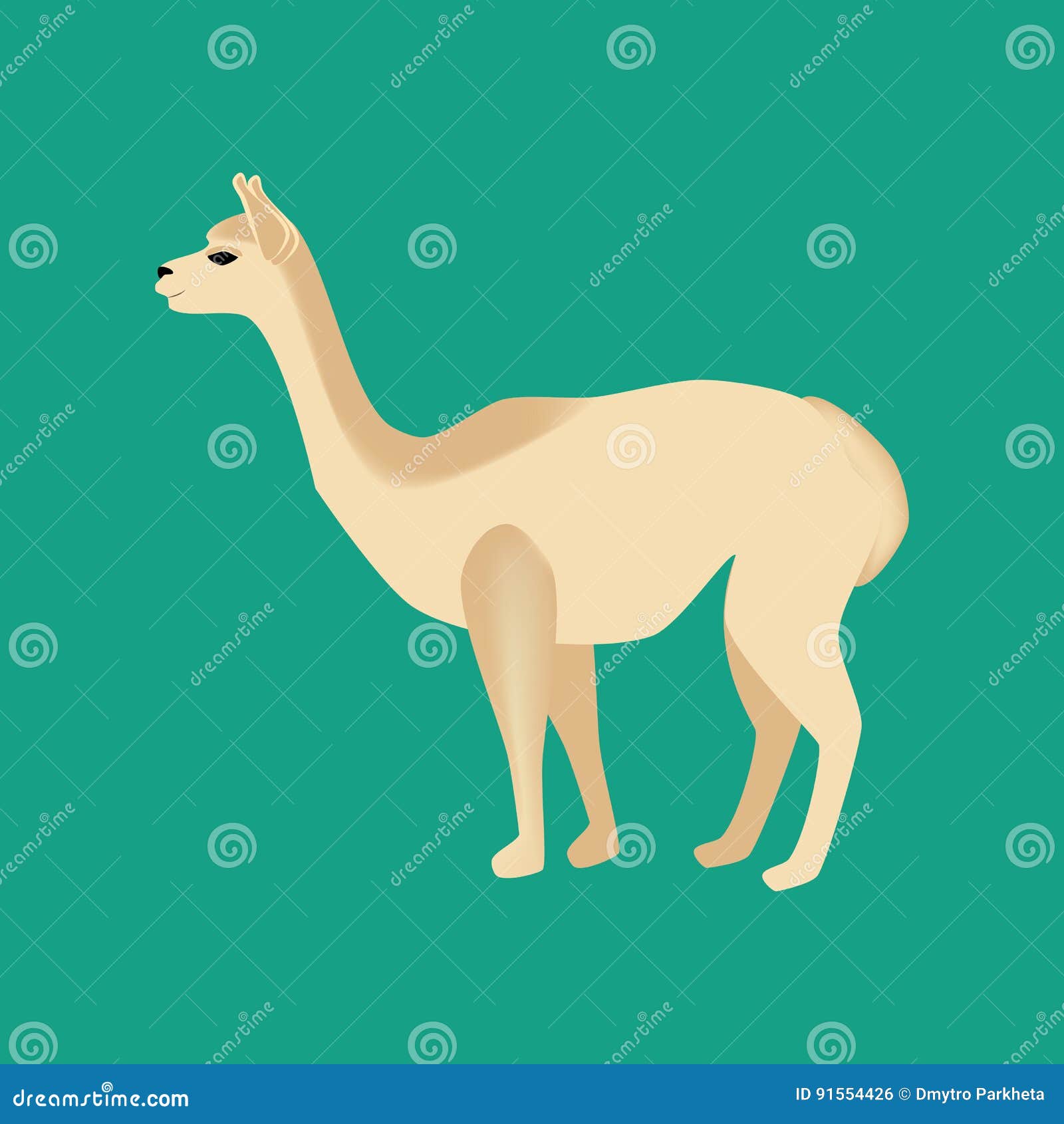 Vicuna animal illustration stock vector. Illustration of peruvian ...
