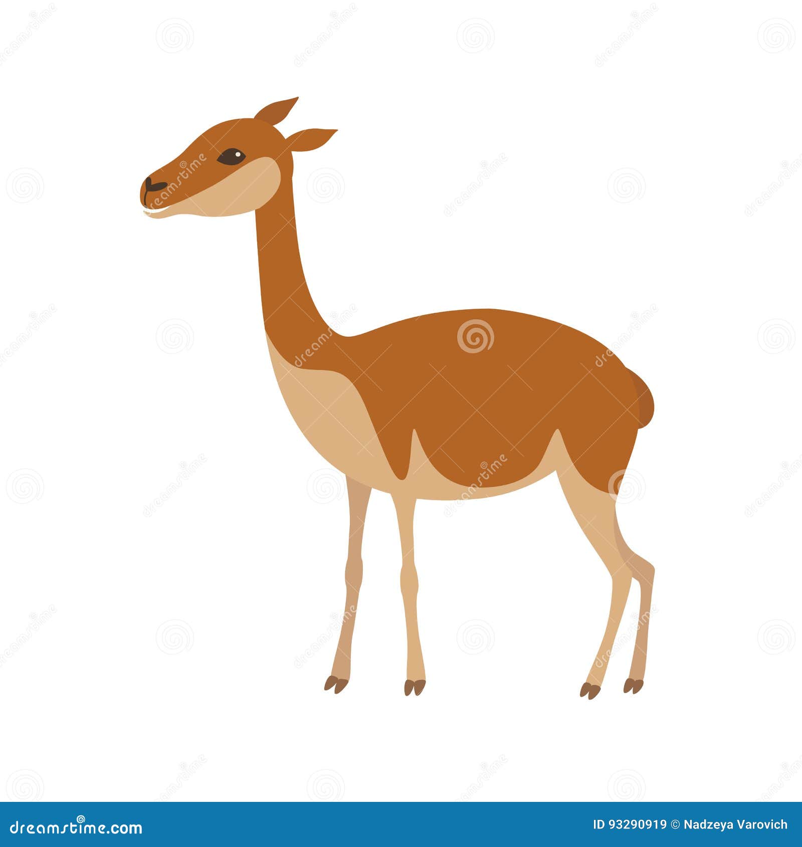 Vicuna Animal. Llama Vector Illustration Stock Vector - Illustration of ...
