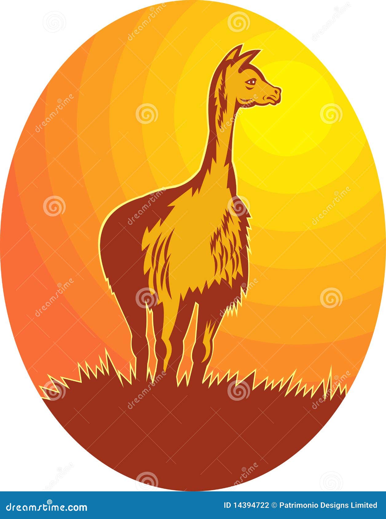 Vicuna Cartoons, Illustrations & Vector Stock Images - 1128 Pictures to ...