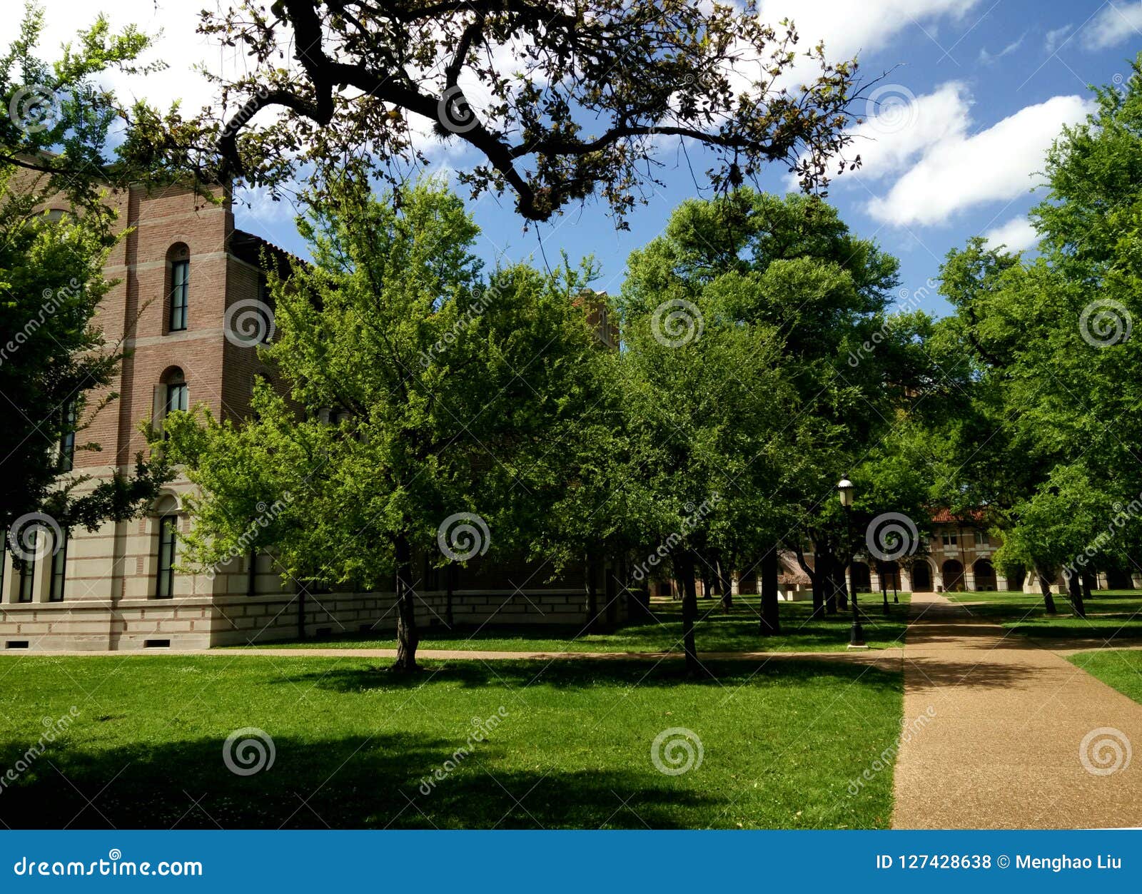 Vida Del Campus En Rice University, Houston Foto de archivo - Imagen de ...