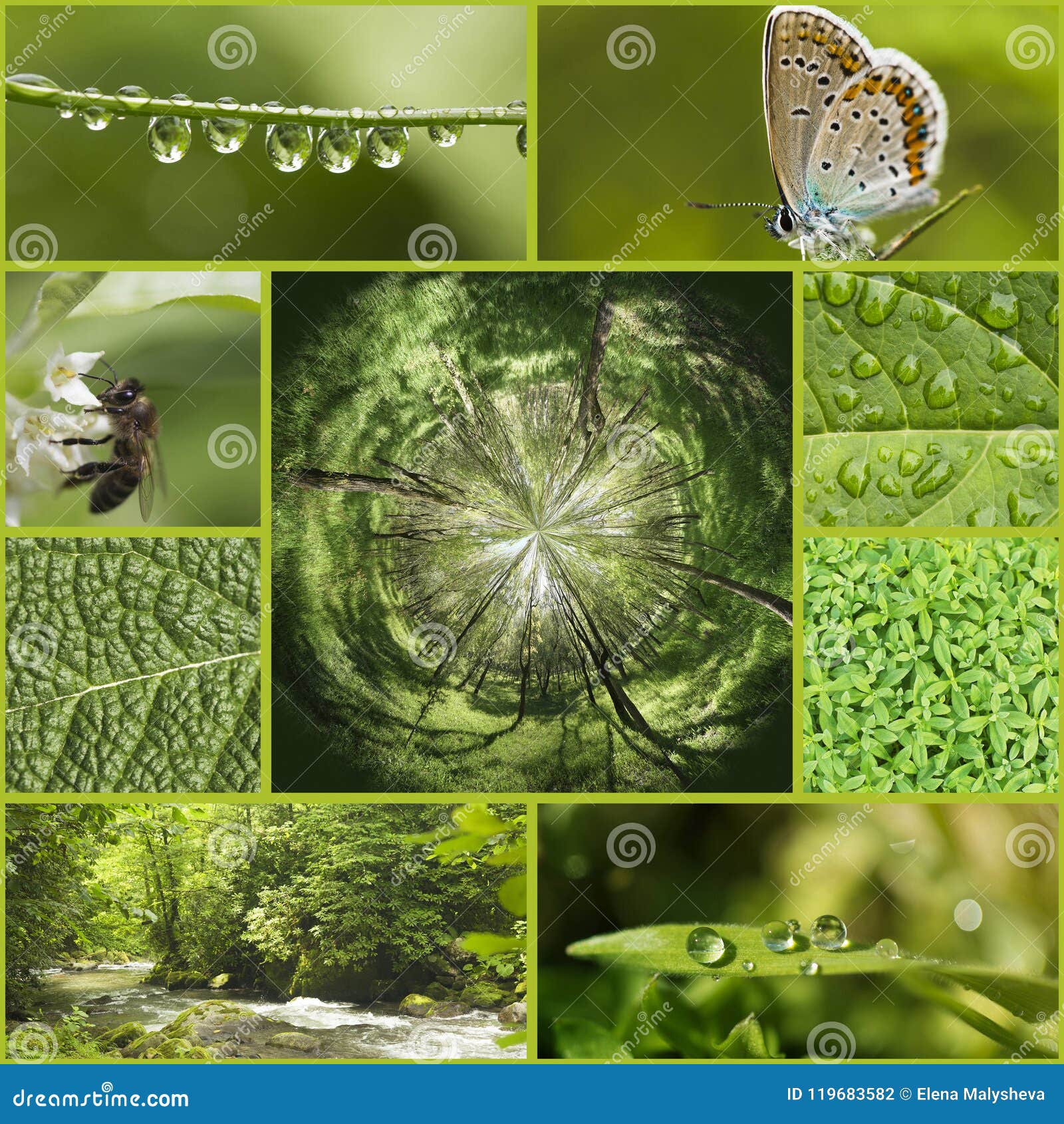 Vida Del Collage Conceptual Del Bosque Del Color Verde Foto de archivo ...