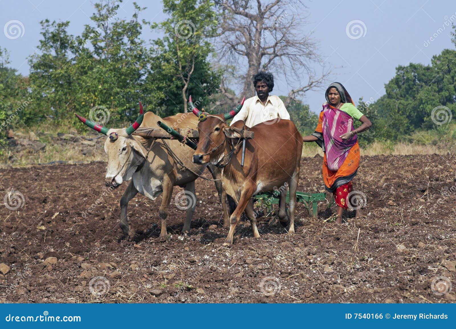 Vida em India rural foto editorial. Imagem de alaranjado - 7540166