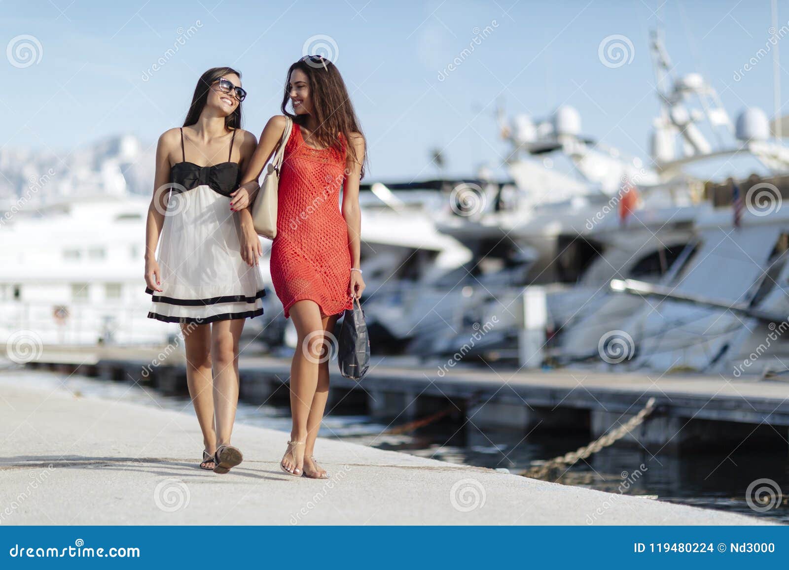 Vida Lujosa Para Dos Mujeres Foto de archivo - Imagen de belleza ...