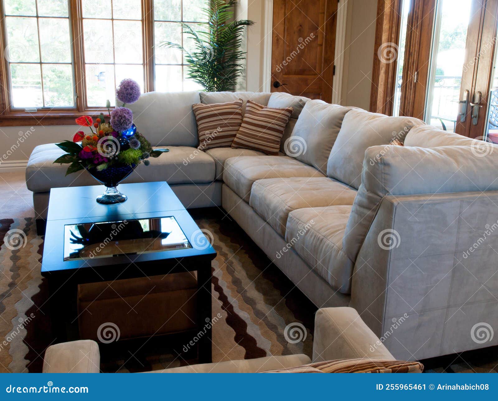 Vida lujosa imagen de archivo. Imagen de residencial - 255965461