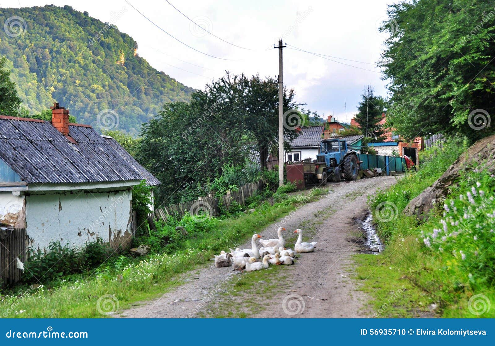 Vida rural foto de stock. Imagem de fazendeiros, derelisco - 56935710