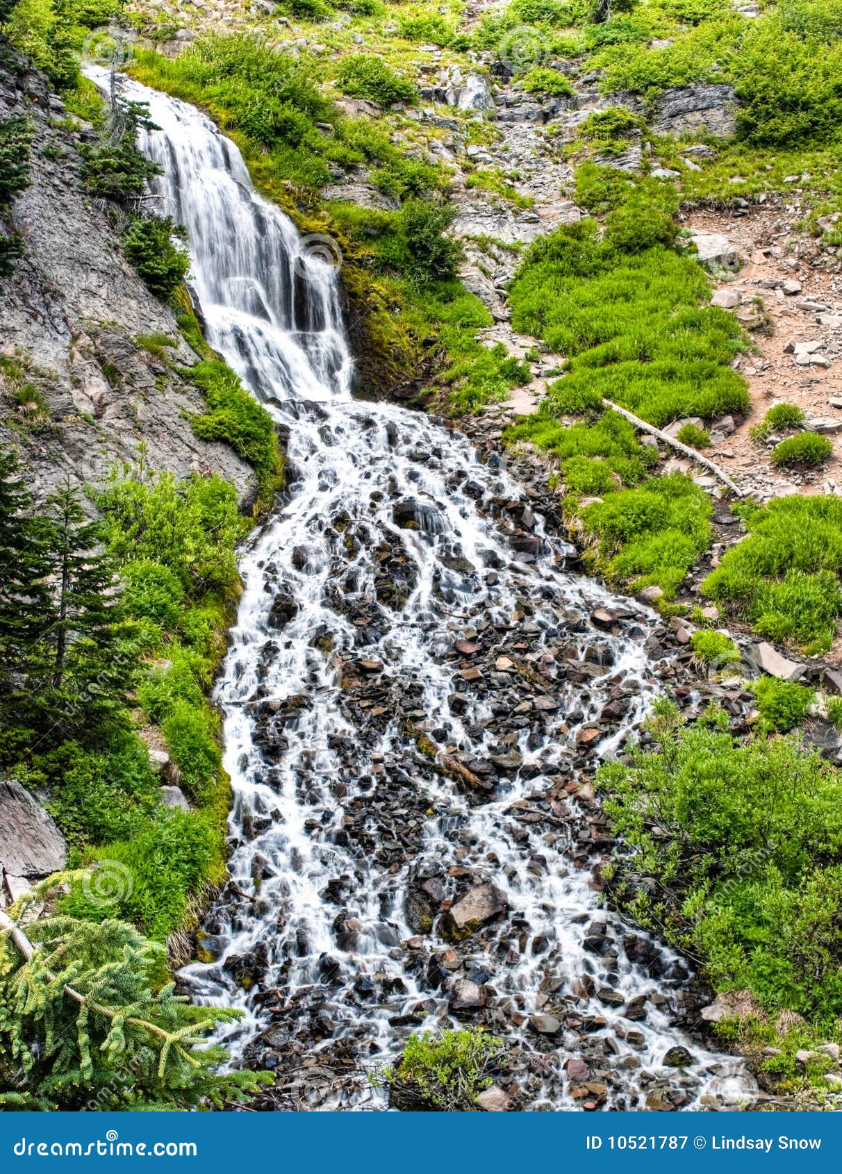 Vidae Falls stock image. Image of high, natural, beauty - 10521787