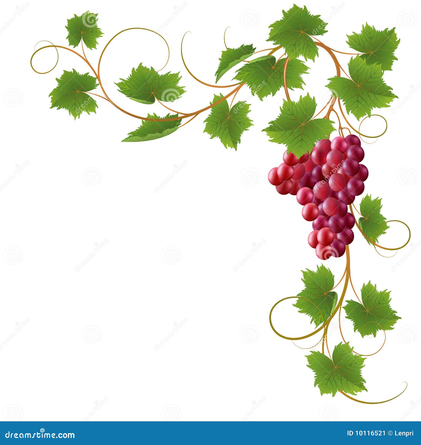 Videira ilustração do vetor. Ilustração de redemoinho - 10116521