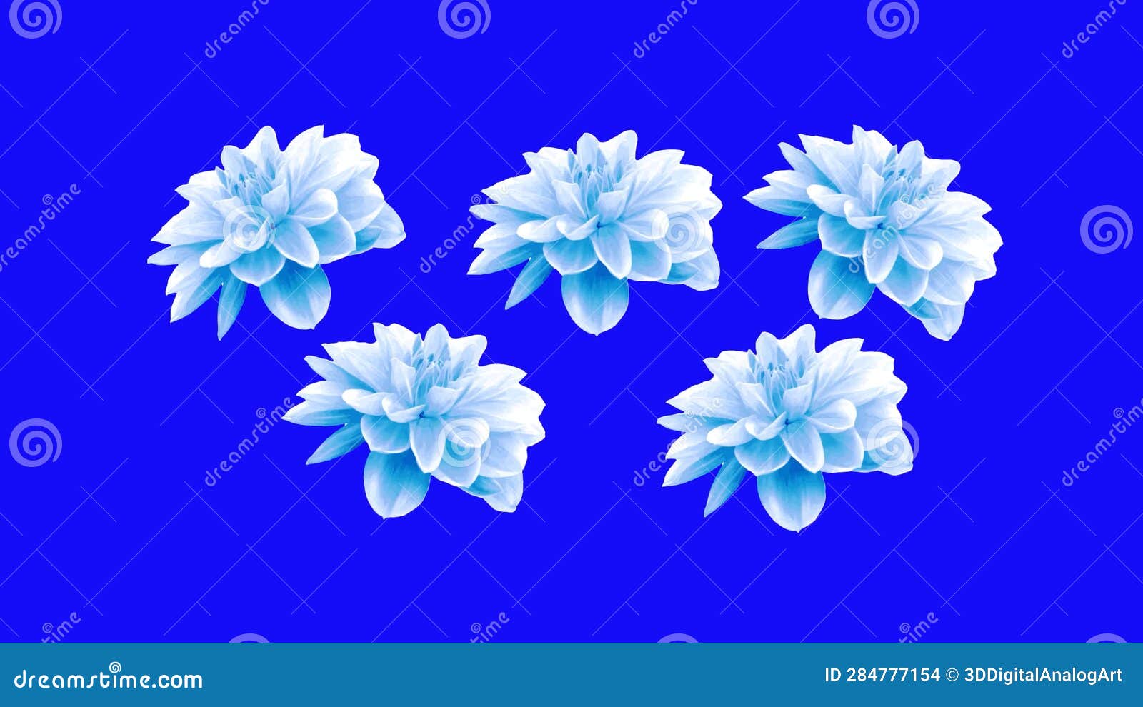 Video Animation: 5 Blue Flowers on a Blue Screen Stock Footage - Video ...