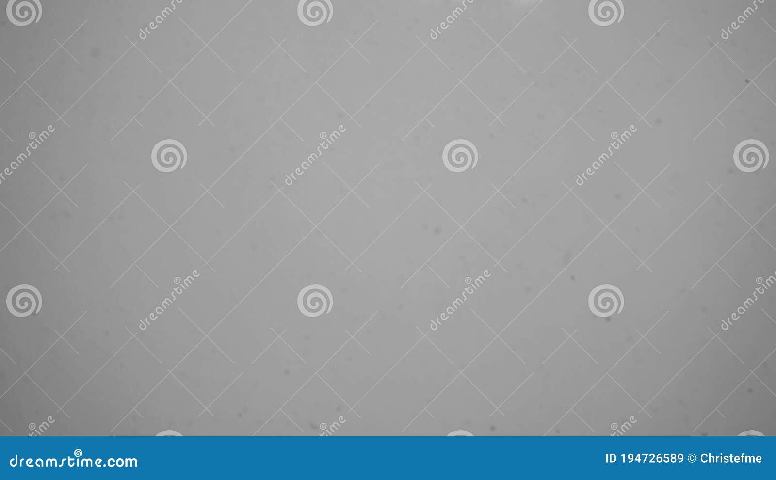 Video Falling Ashes in Twilight on Grey Background Stock Video - Video ...