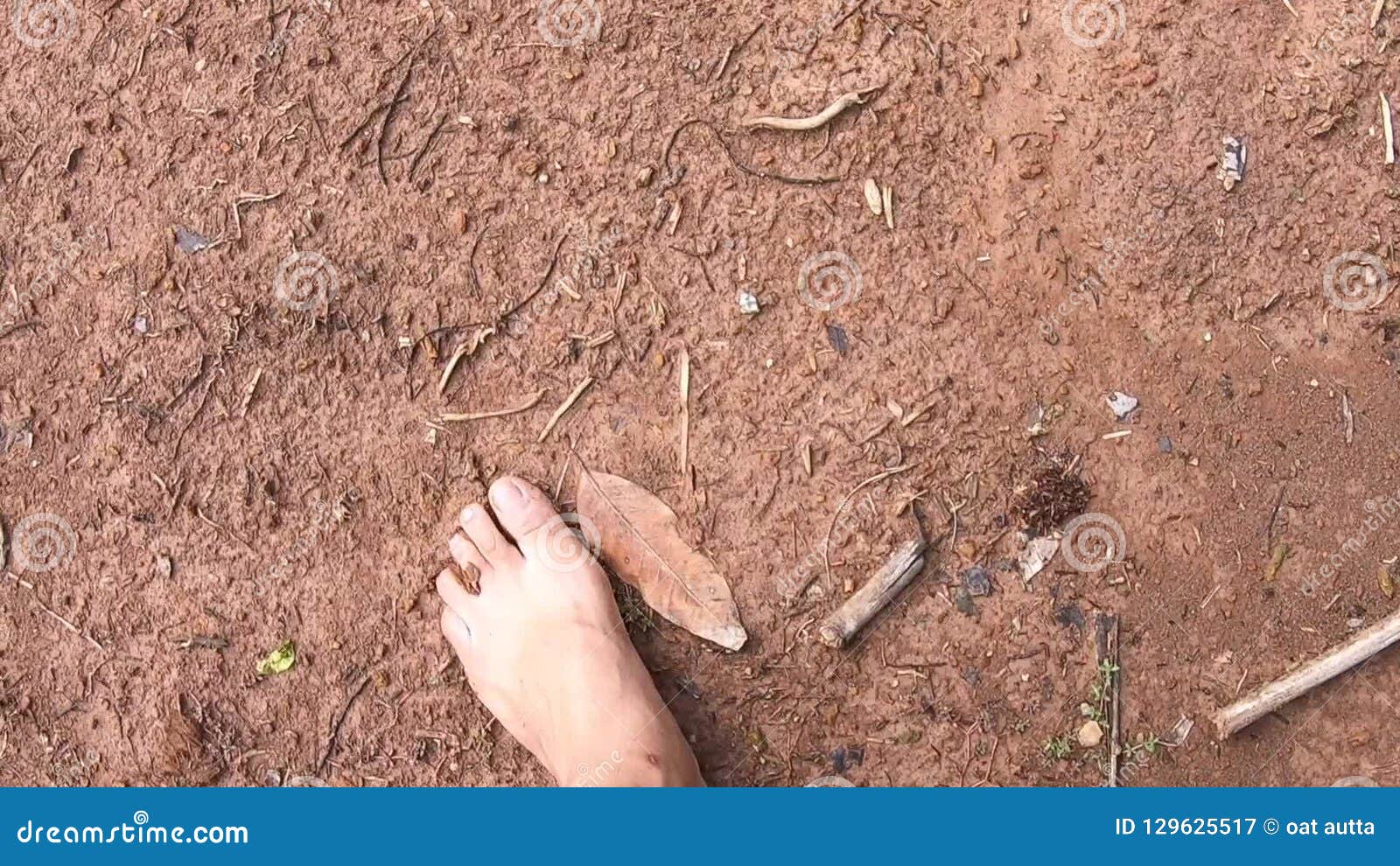 Video Footage ,Man Walking Barefoot on Soil Stock Video - Video of ...