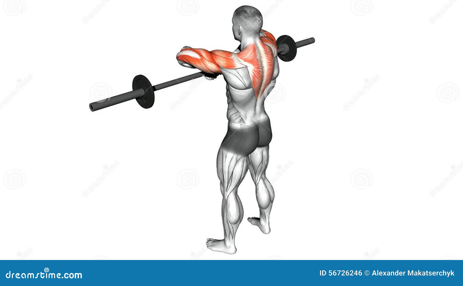 Video Guides Exercising. Vertical Rods with the Rod Stock Footage ...