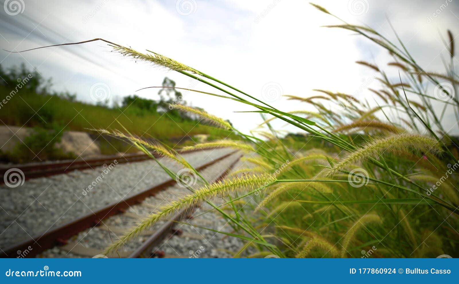 Scenery Grass with Railway for Train Stock Footage - Video of ...