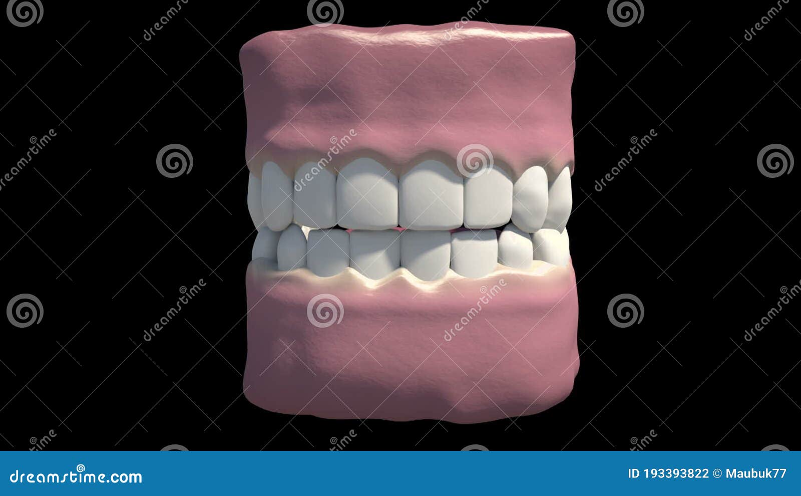 Overview of the Human Dentition Stock Footage - Video of motion ...