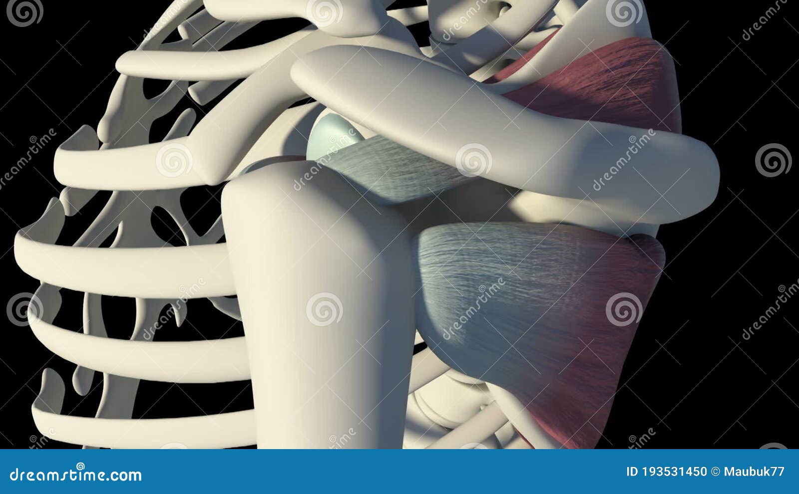 Rotator Cartoons, Illustrations & Vector Stock Images - 535 Pictures to ...