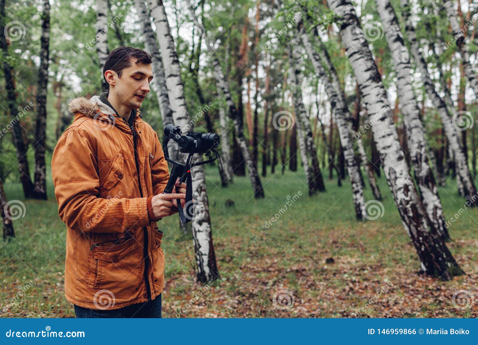 Videographer Filming Spring Forest. Man Using Steadicam and Camera To ...