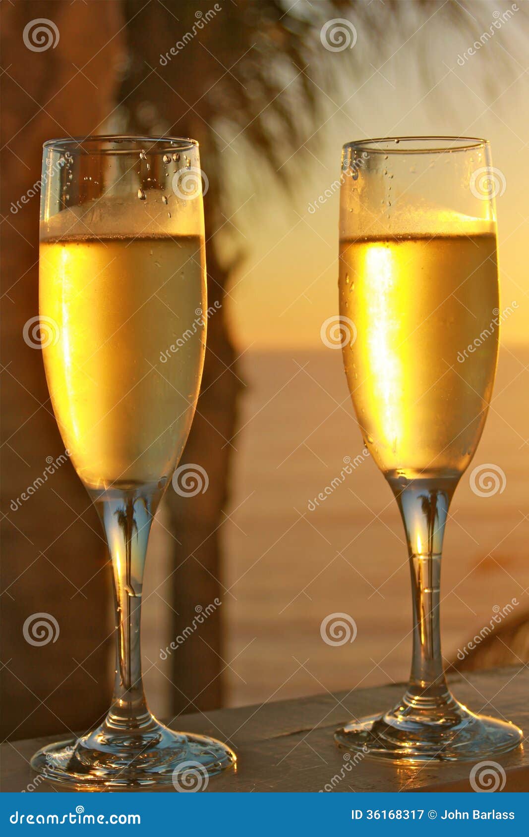 Vidros De Champagne No Formato Vertical Do Por Do Sol Imagem de Stock ...