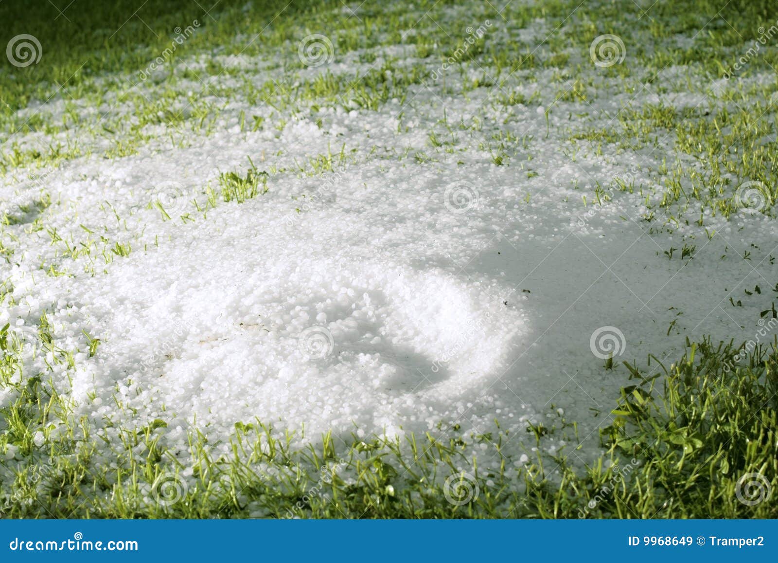 Viele hageln stockbild. Bild von fallen, gras, überladen - 9968649