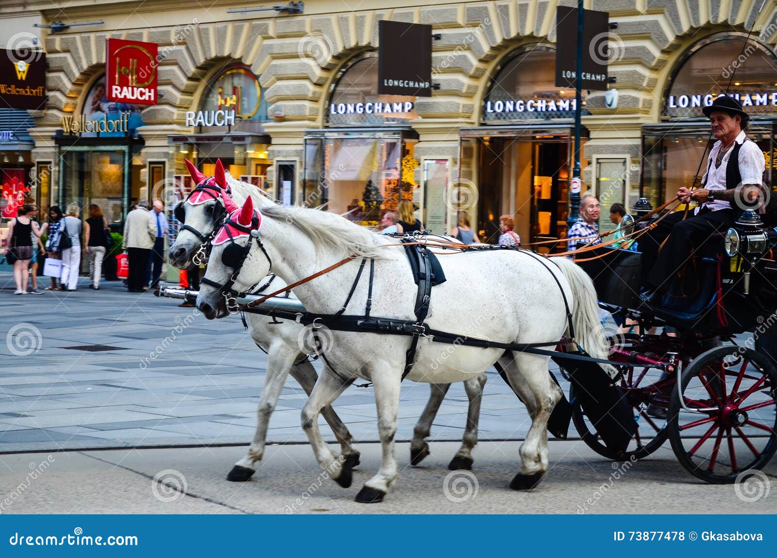 Vienna, Austria editorial stock photo. Image of baby - 73877478