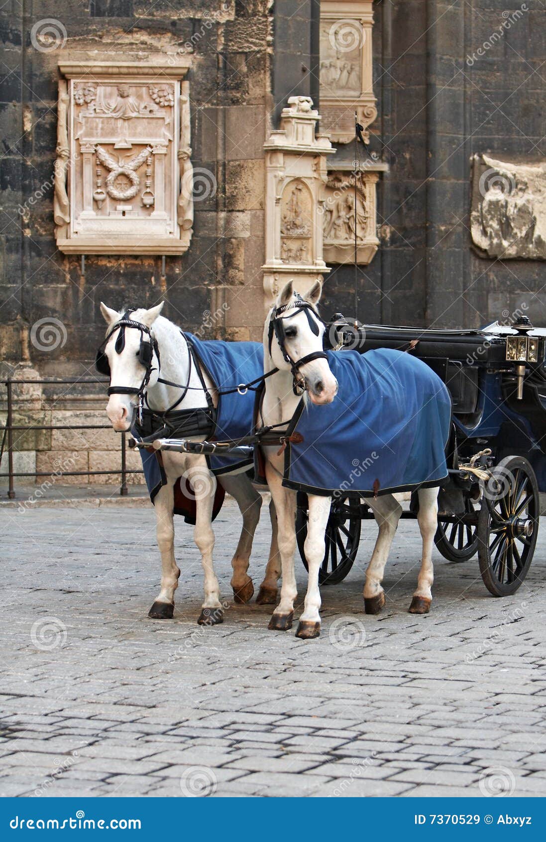 Vienna horses stock image. Image of monarchy, habsburg - 7370529