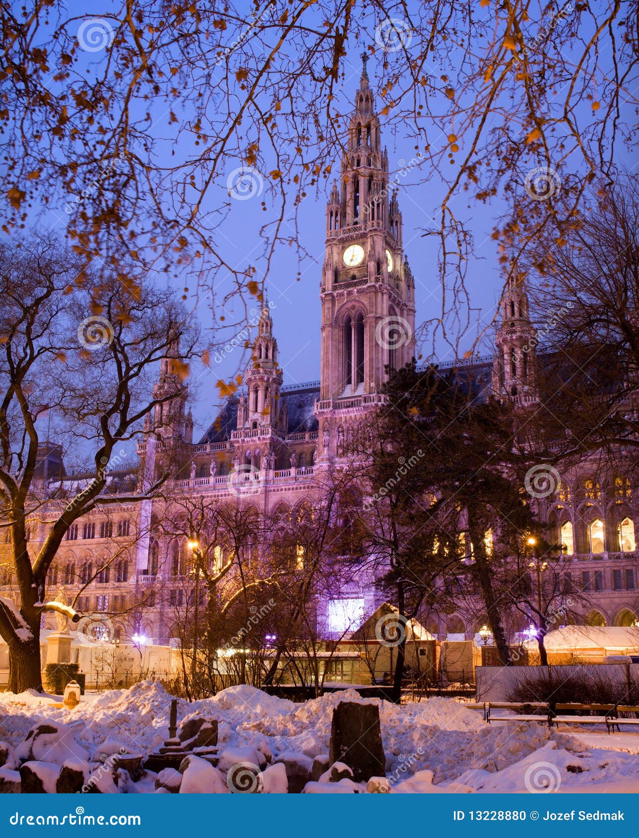 Vienna- Town-hall In Winter Stock Photo - Image: 13228880