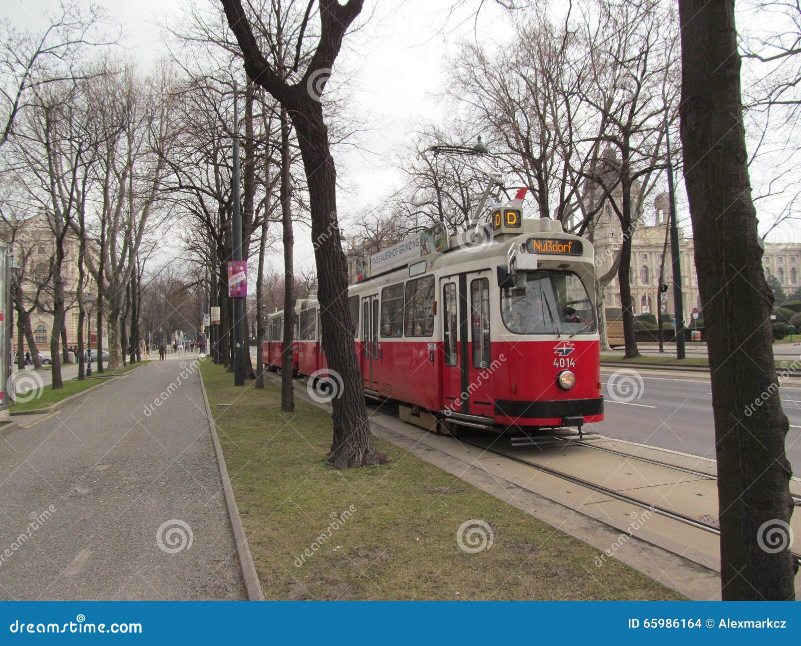 Vienna tram editorial stock image. Image of tree, track - 65986164