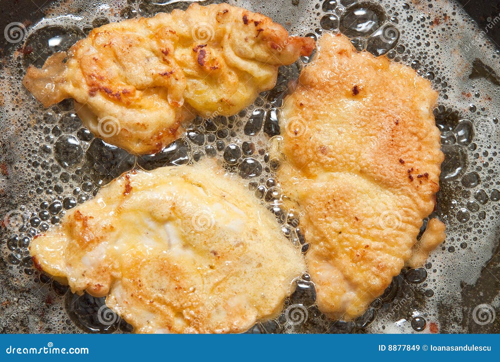 Viennese Schnitzel stock image. Image of european, restaurant - 8877849