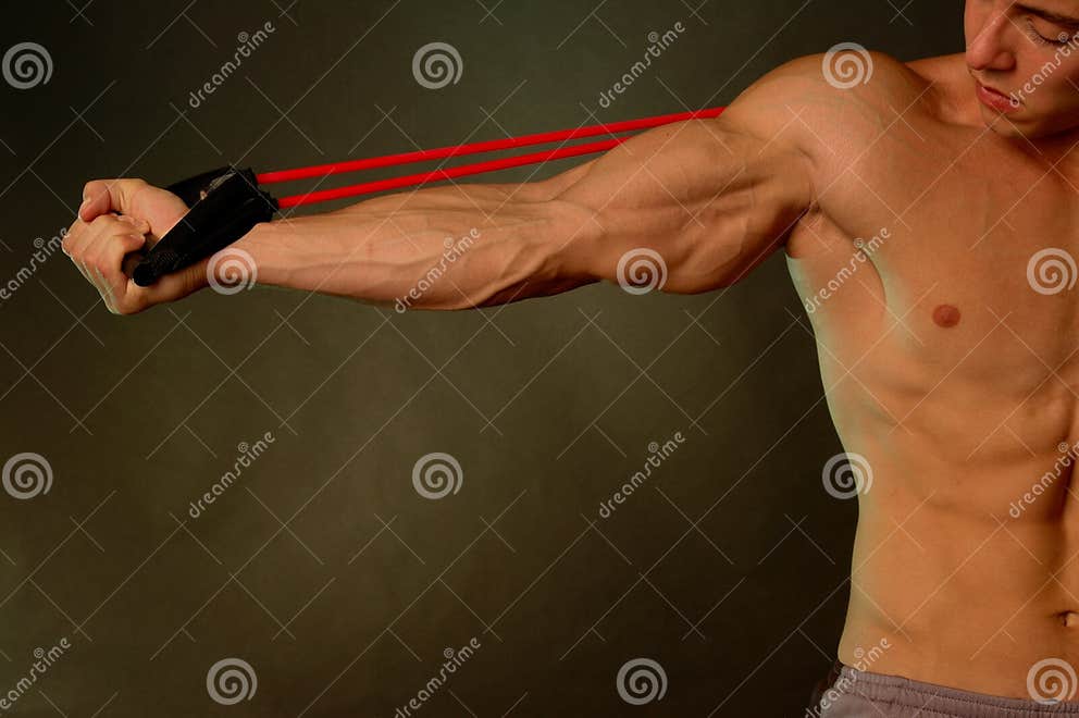 Viens on a well built arm stock image. Image of human - 1018315