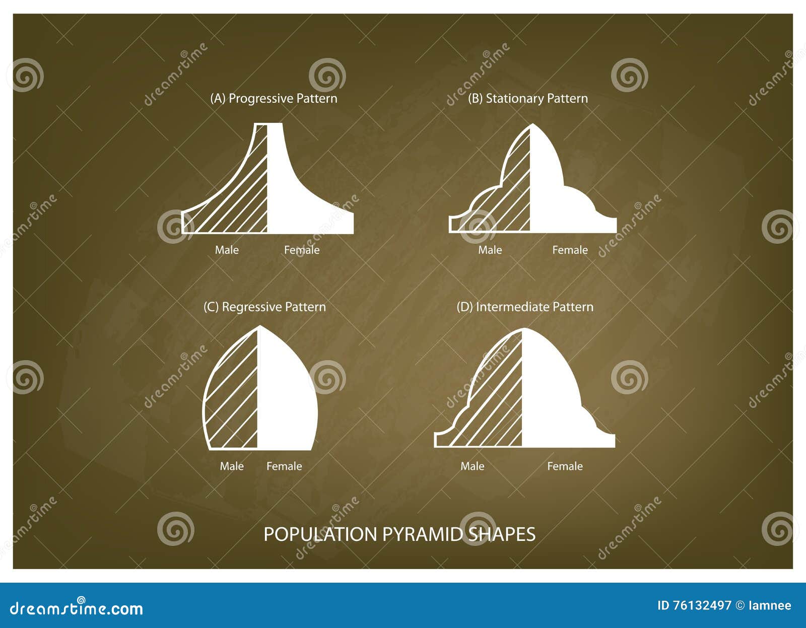 Vier Arten Alterspyramiden Auf Tafel-Hintergrund Vektor Abbildung ...